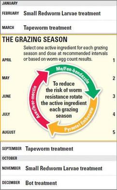 Horse Worming Programmes