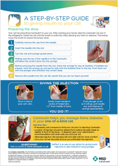 Diabetes in Cats: Dosing and Administration in Cats