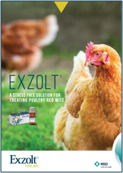 Exzolt® for Backyard chickens | MSD Animal Health HUB