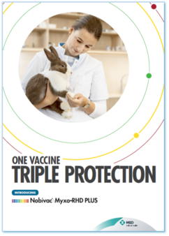 A unique vectored vaccine | MSD Animal Health HUB