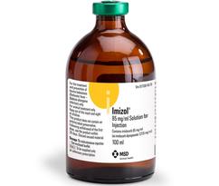 MSD Animal Health Hub: Imizol® 85 mg/ml Solution for Injection