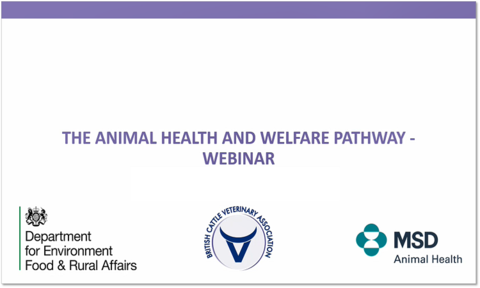 All Courses | MSD Animal Health HUB