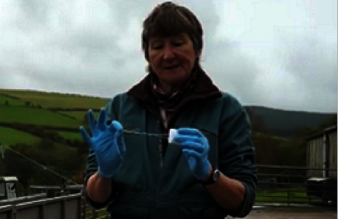 Animal Health Professionals Home