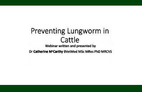 All Courses | Page 2 | MSD Animal Health HUB