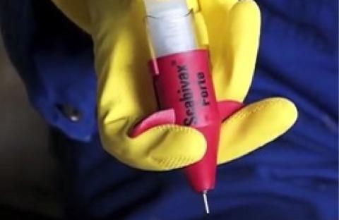 Animal Health Professionals Home