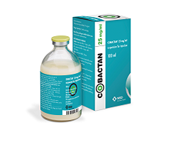 Pig products | MSD Animal Health HUB