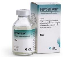 Cat products | MSD Animal Health HUB