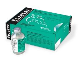 Sheep products | MSD Animal Health HUB