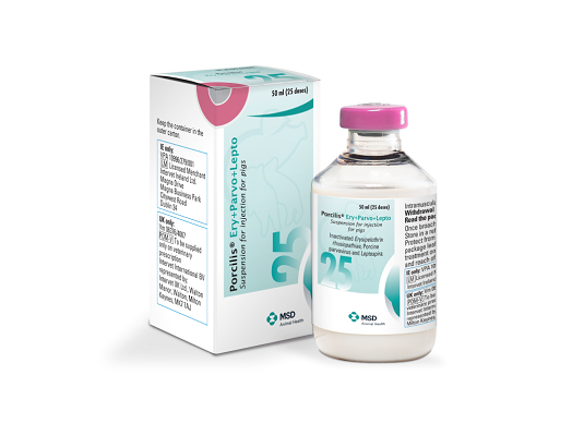 Pig products | MSD Animal Health HUB