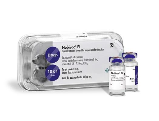 Dog products | MSD Animal Health HUB