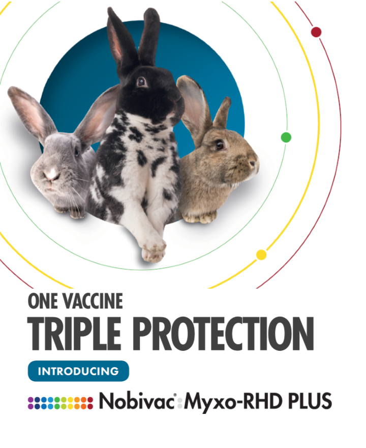 Animal Health Professionals Home