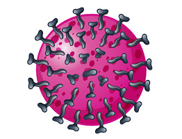 Bovine Coronavirus (BCoV) and the Respiratory System | MSD Animal ...