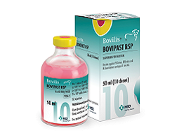 MSD Animal Health Hub: Bovilis® Bovipast RSP