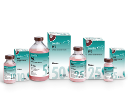 MSD Animal Health Hub: Bovilis® BVD Suspension for injection for cattle