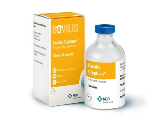 Bovilis Cryptium® emulsion for injection for cattle | MSD Animal Health HUB