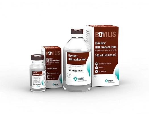 Bovilis® IBR Marker inac suspension for injection for cattle | MSD ...