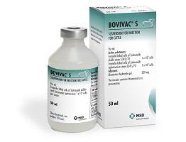 MSD Animal Health Hub: Bovilis® INtranasal RSP™ Live
