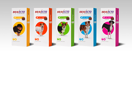 MSD Animal Health Hub: Bravecto® chewable tablets for dogs