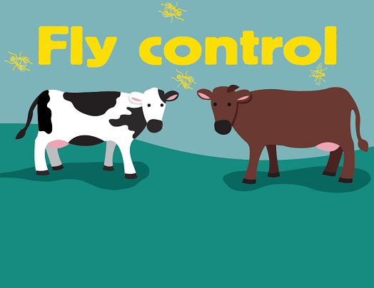 Fly Management | MSD Animal Health HUB