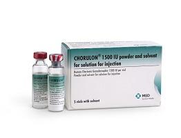 MSD Animal Health Hub: PMSG-Intervet® 5000 iu powder and solvent for ...