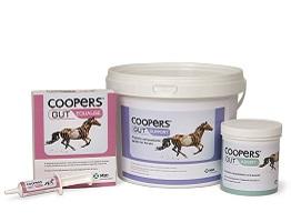 MSD Animal Health Hub: Engemycin® 10 % (DD) Solution for injection