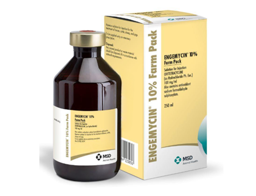 Engemycin® 10 % Farm Pack Solution for Injection | MSD Animal Health HUB