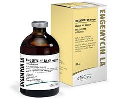 MSD Animal Health Hub: Engemycin® 10 % (DD) Solution for injection