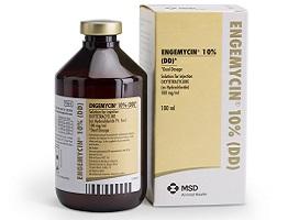 MSD Animal Health Hub: Engemycin® 10 % (DD) Solution for injection