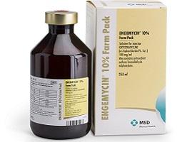 MSD Animal Health Hub: Engemycin® 10 % Farm Pack Solution for injection