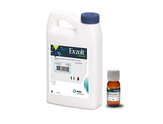 Exzolt® 10 mg/ml solution for use in drinking water for chickens | MSD ...