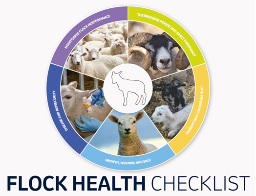 Flock Health Checklist Toolkit | MSD Animal Health HUB