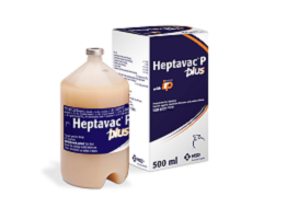 MSD Animal Health Hub: Ovivac® P Plus