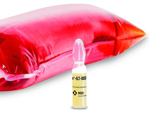 Innovax®-ILT-IBD concentrate and solvent for suspension for injection ...