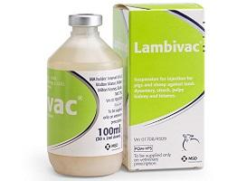 MSD Animal Health Hub: Toxovax®