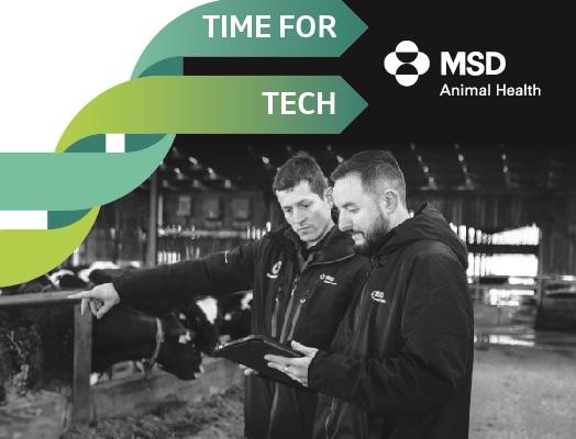 Time For Tech - The Time is Now | MSD Animal Health HUB