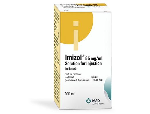 Imizol® 85 mg/ml Solution for Injection | MSD Animal Health HUB