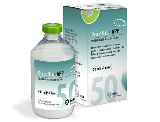 Porcilis® APP Suspension for injection | MSD Animal Health HUB