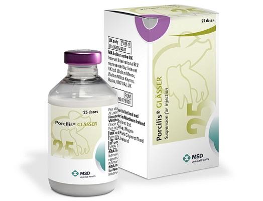 Porcilis® Glässer Suspension for injection for pigs | MSD Animal Health HUB