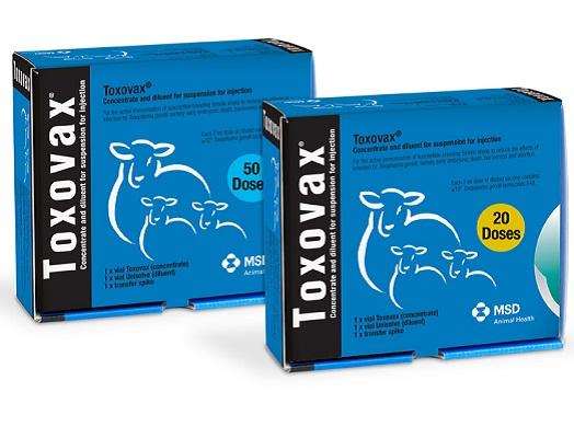 Toxovax® | MSD Animal Health HUB
