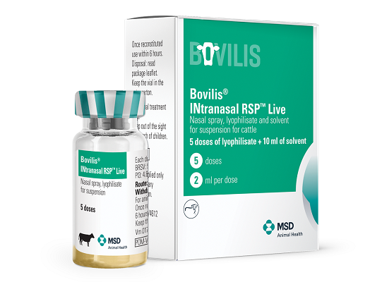 Bovilis® INtranasal RSP™ Live | MSD Animal Health HUB