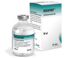 Dexafort® Suspension for Injection | MSD Animal Health HUB