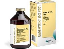 Engemycin® 10% (DD) Solution for injection | MSD Animal Health HUB