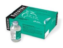 Enzovax® | MSD Animal Health HUB