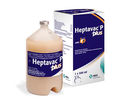 MSD Animal Health Hub: Heptavac® P Plus Q & A