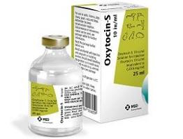 Oxytocin-S 10 iu/ml solution for injection | MSD Animal Health HUB