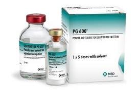 PG 600® Powder and solvent for solution for injection | MSD Animal ...