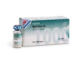 MSD Animal Health Hub: Paracox®-5 Oral suspension