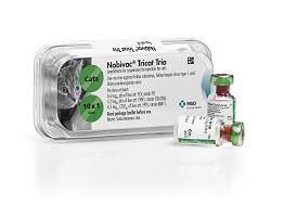 MSD Animal Health Hub: Nobivac® FeLV, suspension for injection for cats