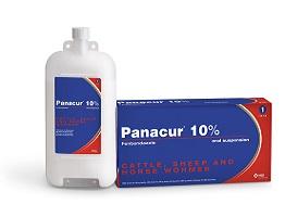 Panacur® 10 % Oral Suspension | MSD Animal Health HUB