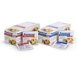 Panacur® 22.2% w/w | MSD Animal Health HUB